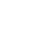 DSSI Inspections - DSSI