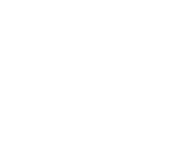 DSSI Inspections - DSSI